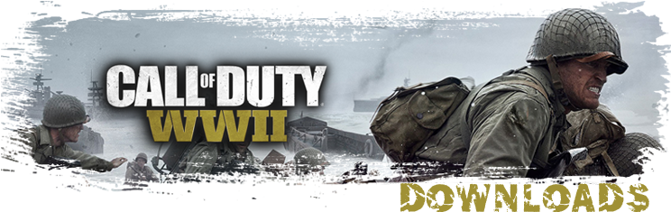 Download Codwwii Down - Call Of Duty: World War 2 Pro Edition (ps4) PNG ...