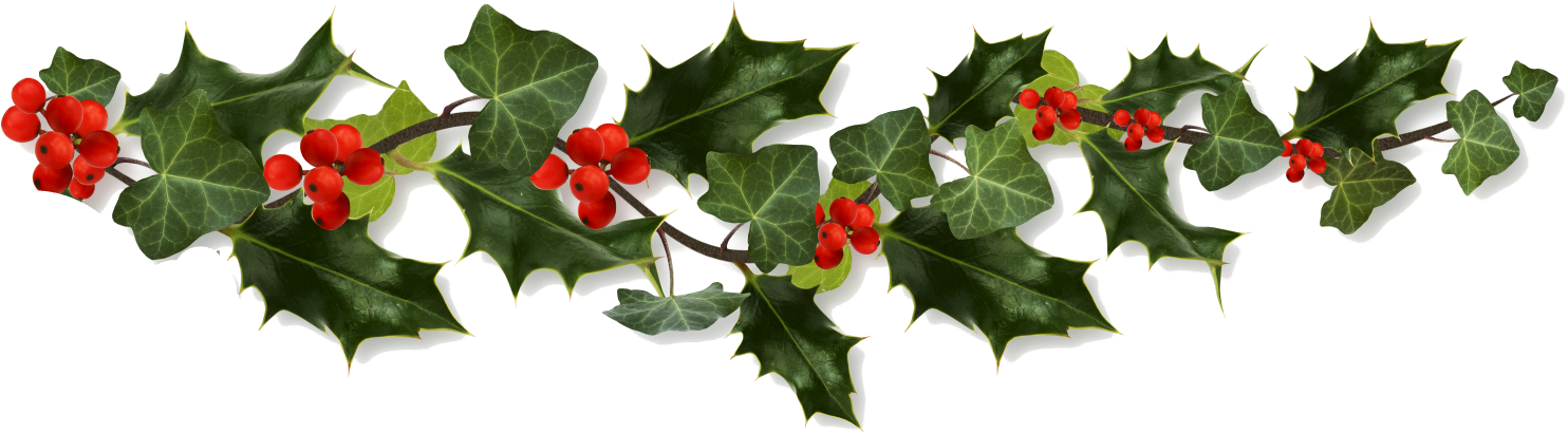 Holly Border Png Clip Art Transparent Stock - Holly Border Png - Free ...