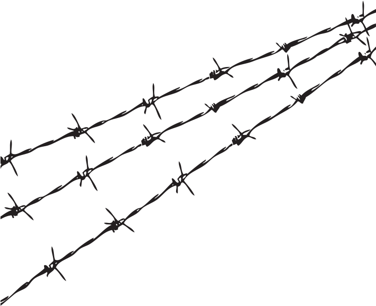Barbed Wire Png - Transparent Barbwire - Free Transparent PNG Download ...