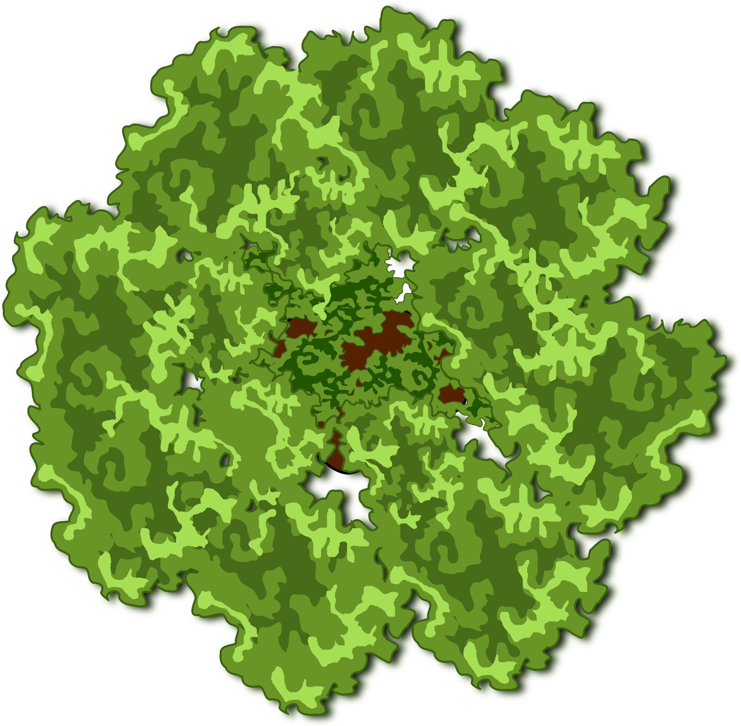Tree Plan Png Download - Watercolor Tree Plan Png - Free Transparent ...