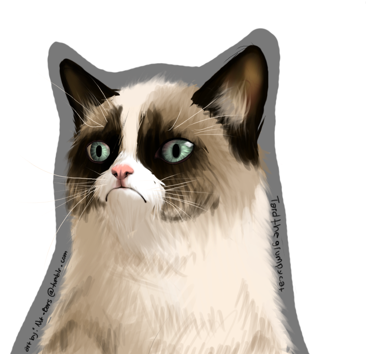 Grumpy Cat Face Png