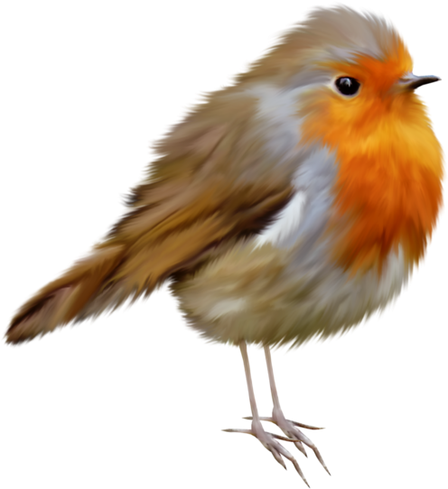 Download Awakening Mega - Robin Clip Art Free PNG Image with No ...