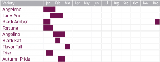 Download Availability Chart PNG Image with No Background - PNGkey.com