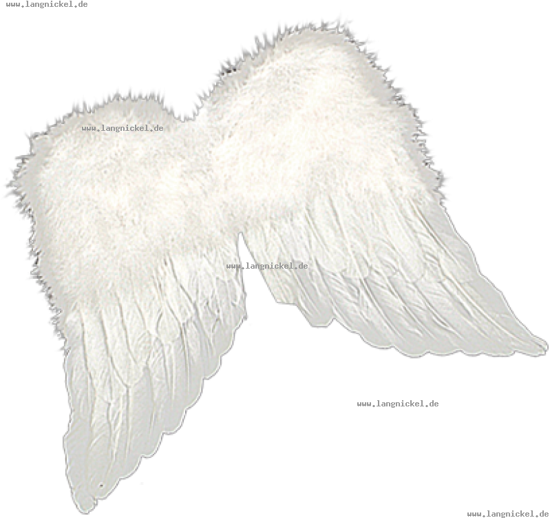 Autumn Maple Tree With Red - Pigeons And Doves - Free Transparent PNG ...