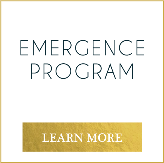 Download Emergence Program Button - Paper PNG Image with No Background ...