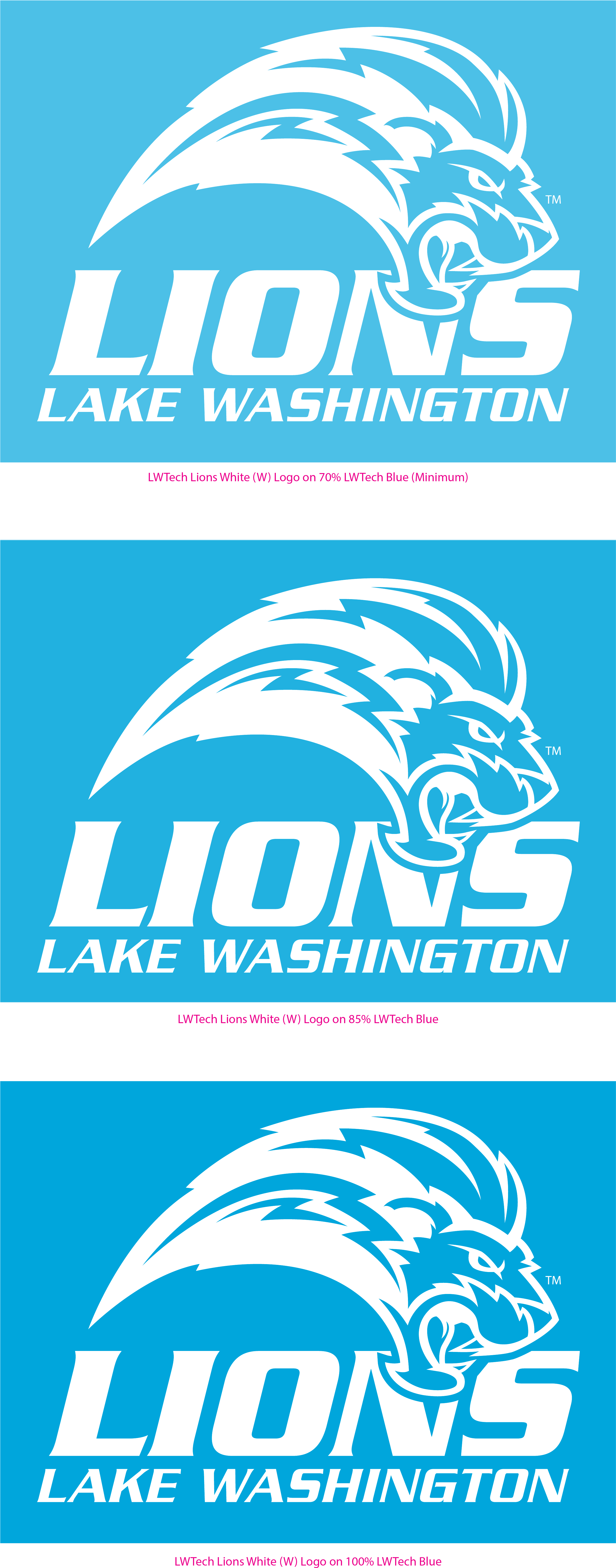 Download Lwtech Lions Acceptable Logo Color Variations Lwtech - Logo ...