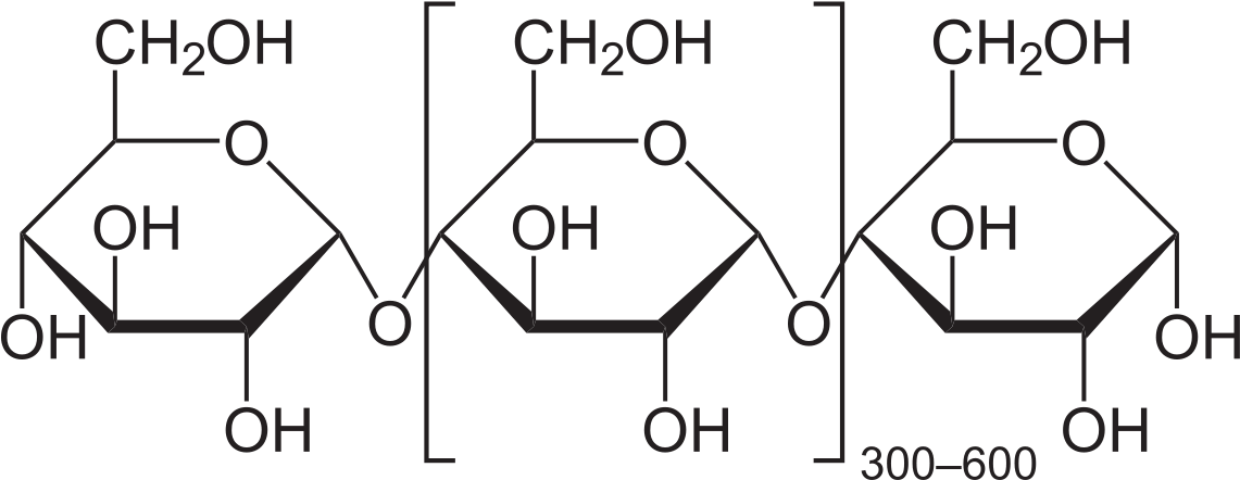 Molecular Structure Of Starch - Free Transparent PNG Download - PNGkey