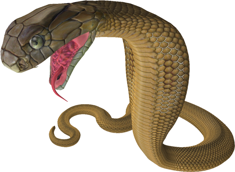 Download Serpent PNG Image with No Background - PNGkey.com