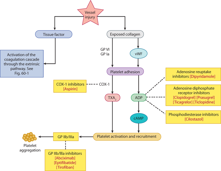 Download Image Not Available - Diagram PNG Image with No Background ...