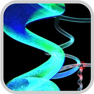 Download Spiralset PNG Image with No Background - PNGkey.com