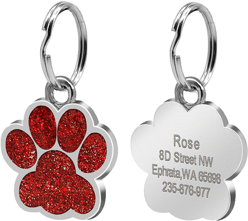 Cute Dog Tags - Free Transparent PNG Download - PNGkey
