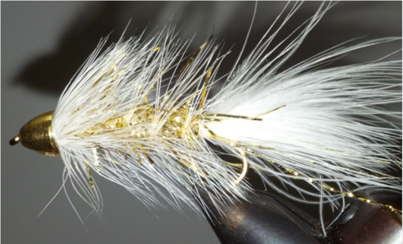 Download Goldie Cone Head - Goldie Streamer PNG Image with No ...