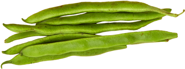 Download 1 Pack - Green Bean PNG Image with No Background - PNGkey.com