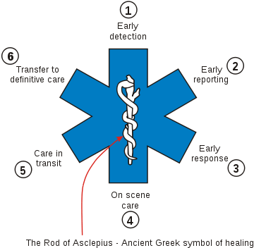 Download Basic Information About First Aid Principles PNG Image with No ...