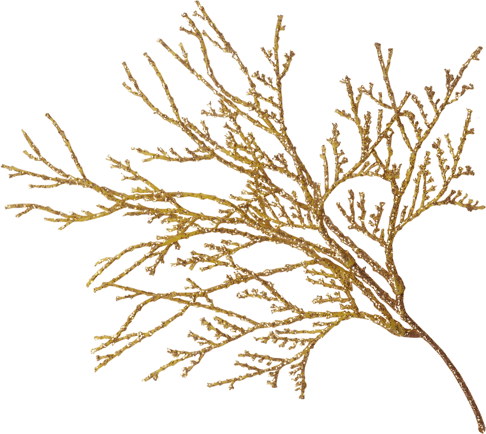 Download Lounging With A Latte - Gold Lace Transparent PNG Image with ...