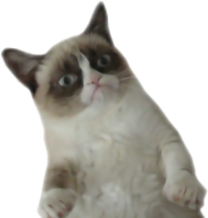 Grumpy Cat Transparent Background