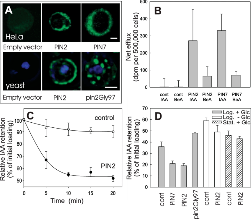 Download Pin2 - Diagram PNG Image with No Background - PNGkey.com