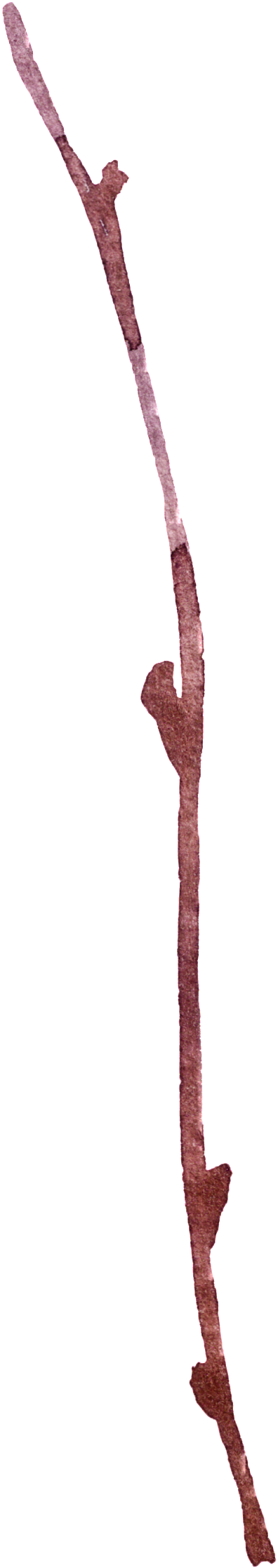 Download Brown Red Twig Watercolor Hand Drawn Cartoon Transparent ...