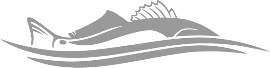 Download Redfish PNG Image with No Background - PNGkey.com