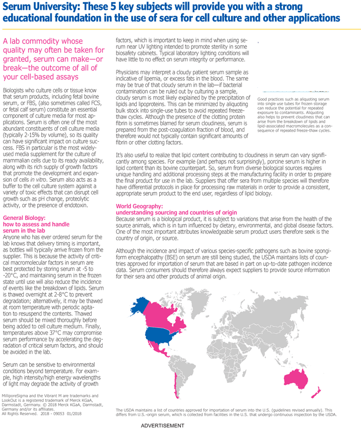 Download Help - - Map PNG Image with No Background - PNGkey.com