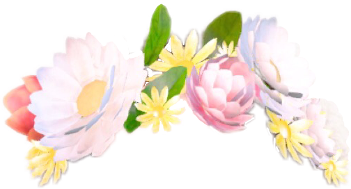 Download Flower Snapchat Flowercrown Filter Stickerfreetoedit - Flower ...
