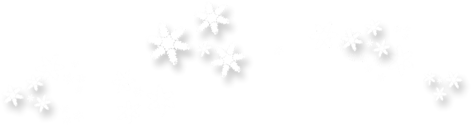 Download Transparent White Flowers Decor Clip Art - Line Art PNG Image ...