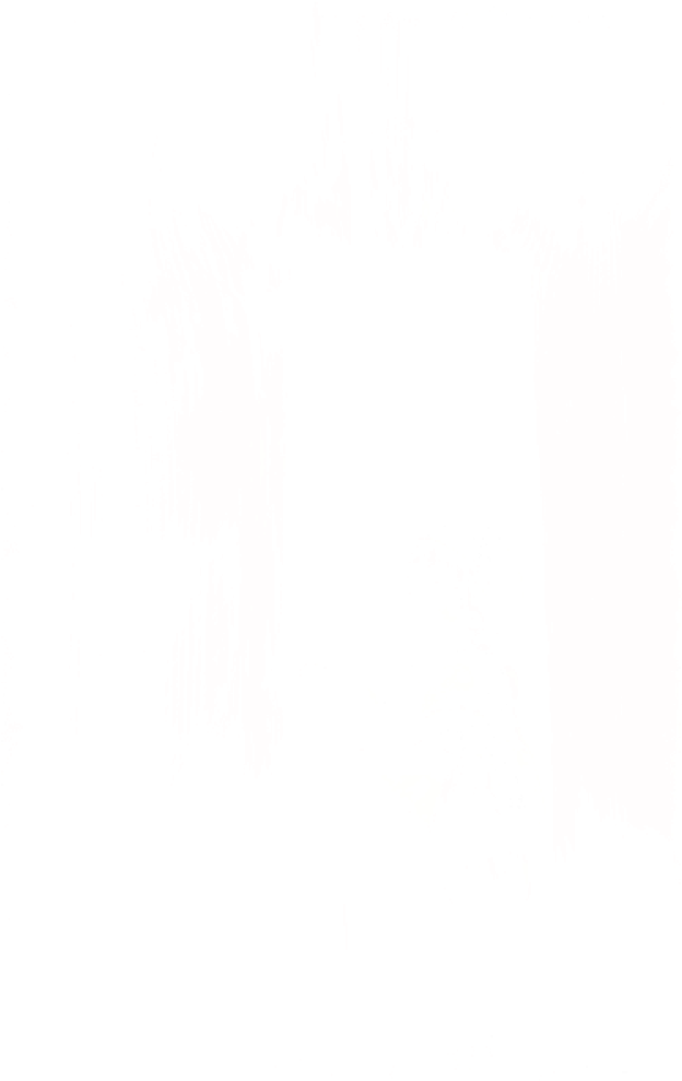 Download Mb Image/png - Ivory PNG Image with No Background - PNGkey.com