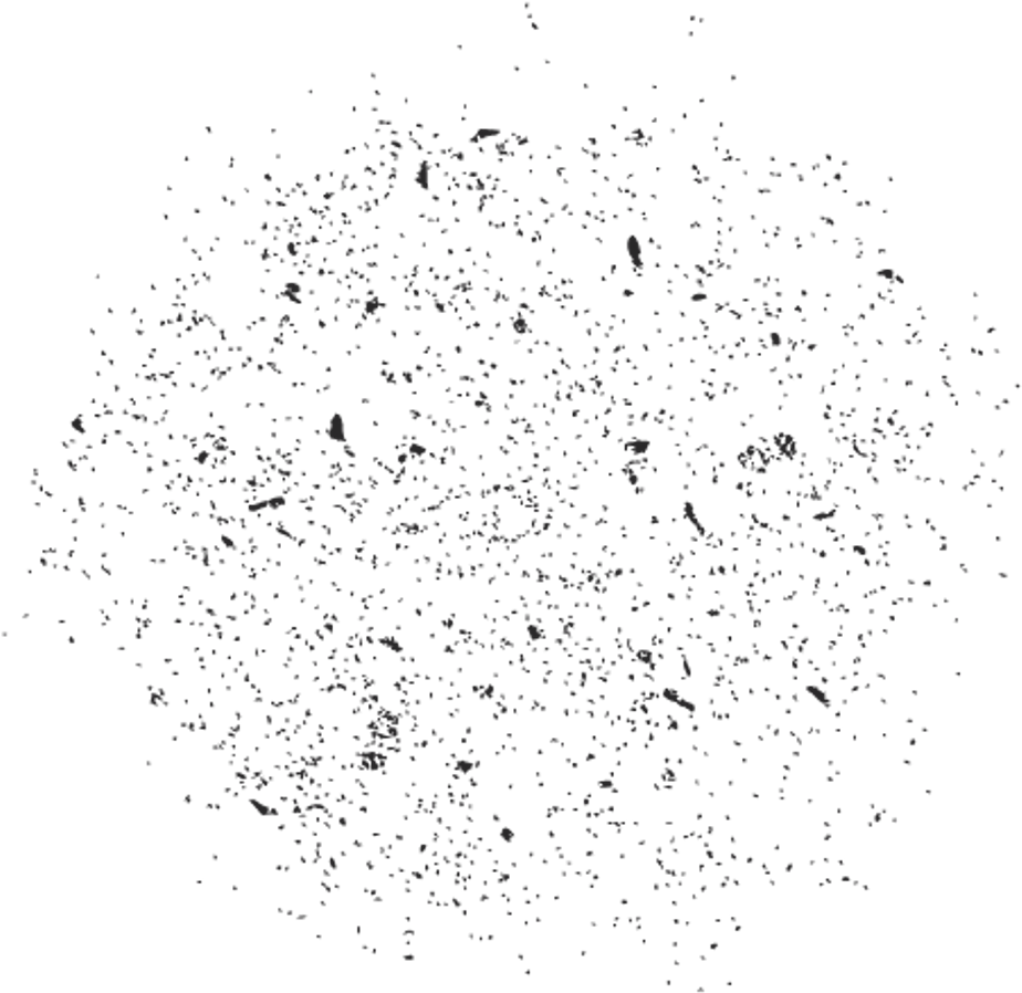 Ashes Png Picture Freeuse - Ashes Png Transparent Background - Free ...