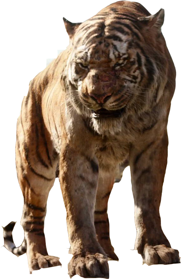 Download Jungle Book 2016 Disneyscreencaps - Wiki PNG Image with No ...