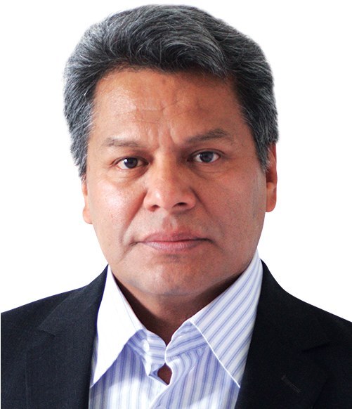 Download Homero Paz - Ashwin Rao PNG Image with No Background - PNGkey.com