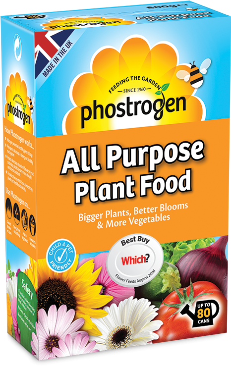 Download Next PNG Image with No Background - PNGkey.com