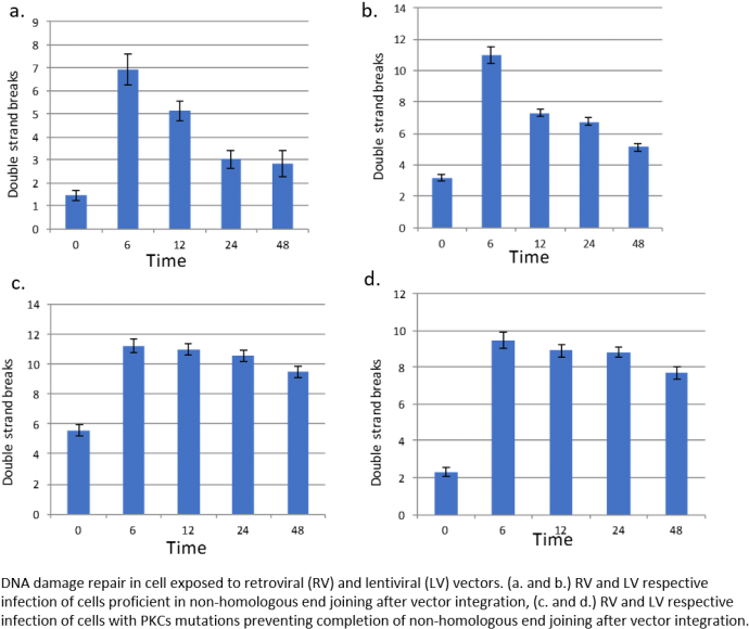 Download Dna Damage Repair Assay - Diagram PNG Image with No Background ...