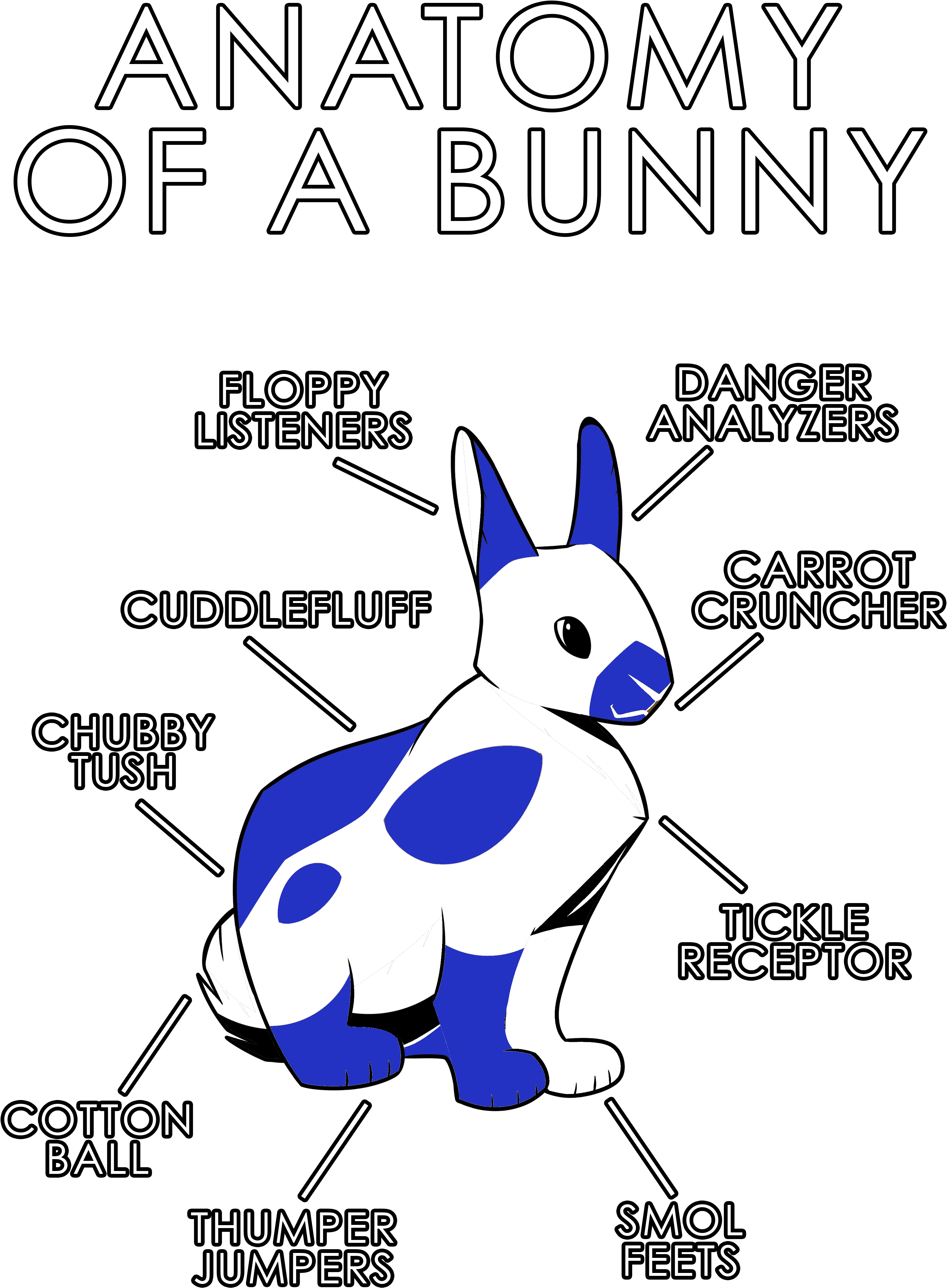 Download Anatomy Of A Bunny - Bunny Anatomy PNG Image with No ...
