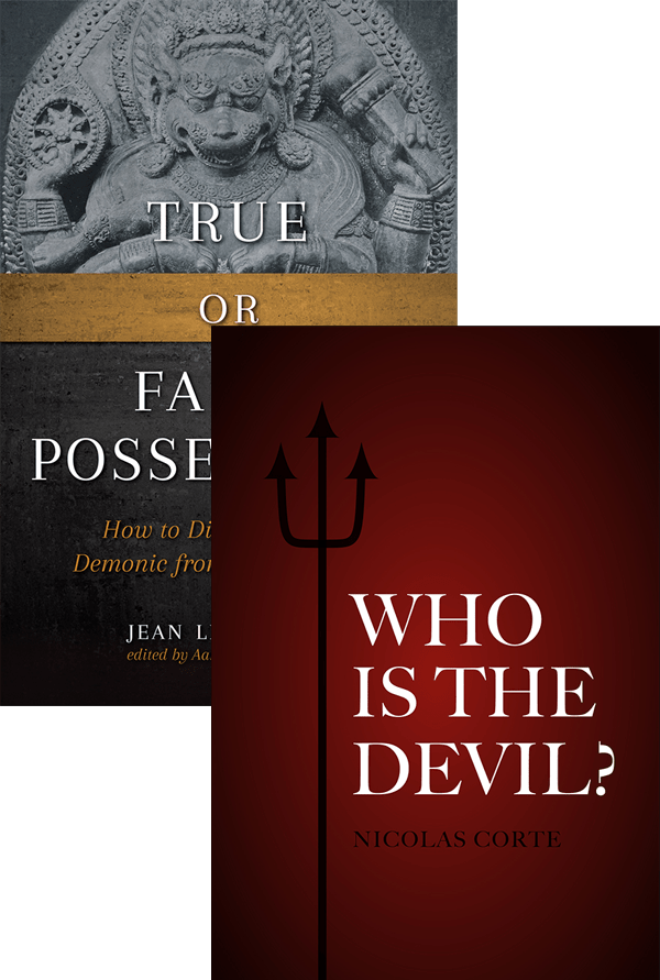 Download The Devil And Possession Book Cover - True And False ...