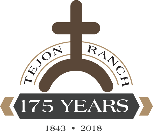 Download Tejon Ranch 175th Anniversary - Cross PNG Image with No ...