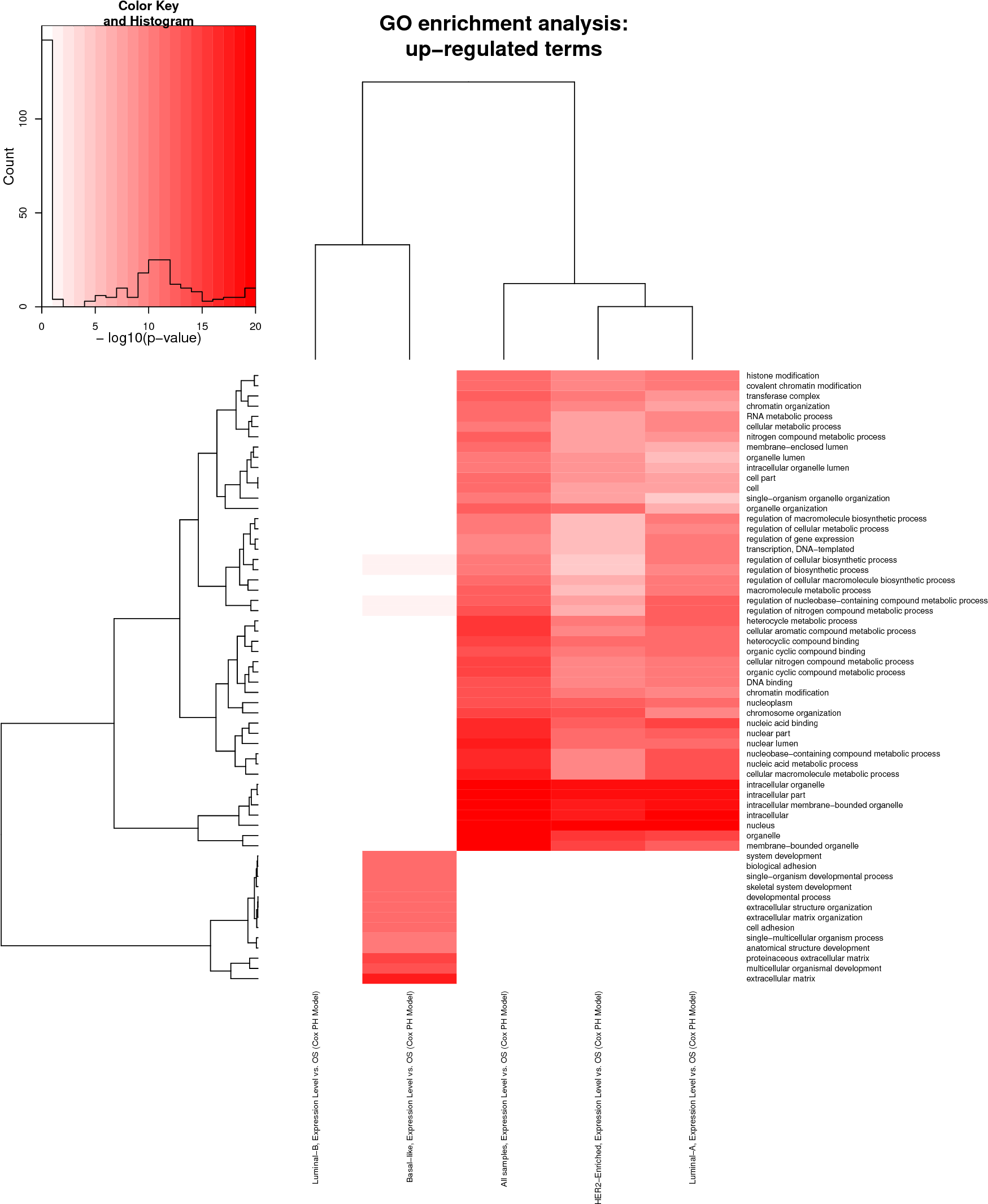 Download Go Significance Heatmap PNG Image with No Background - PNGkey.com