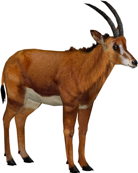 Download Giant Sable Antelope F - Wiki PNG Image with No Background ...