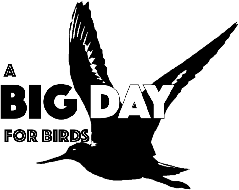 Download Big Day 2016 Logo Crop - Logo PNG Image with No Background ...