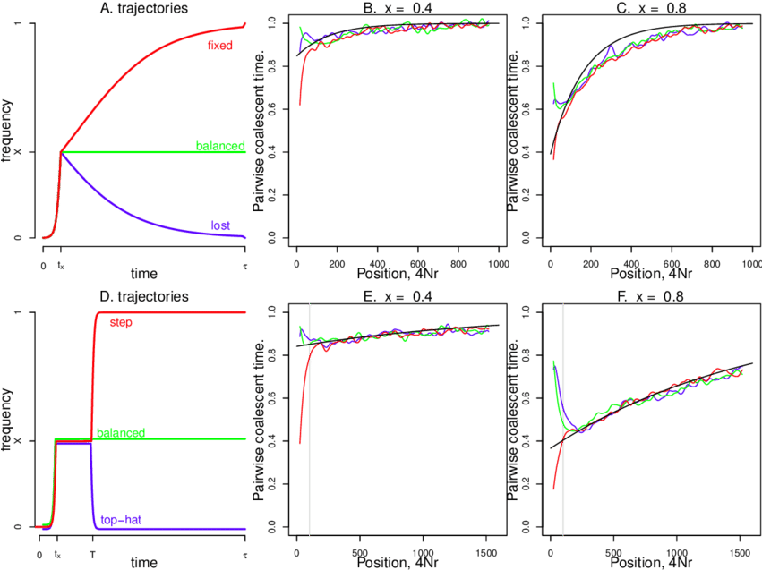 Download The Effect Of A Single Partial Sweep - Diagram PNG Image with ...