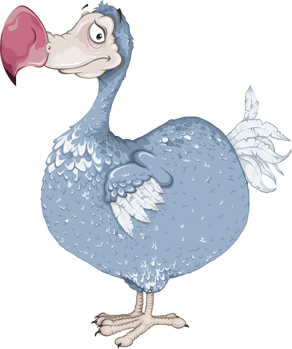 Download Illustration Examples - Cartoon PNG Image with No Background ...