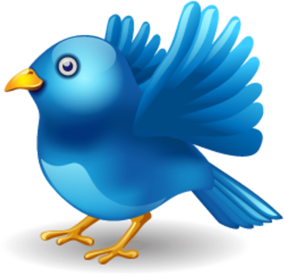 Twitter Vector Icons Massive Icon Set - Twitter Bird - Free Transparent ...