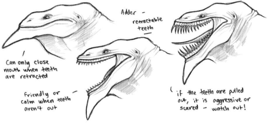 Download The Adder's Retractable Teeth PNG Image with No Background ...