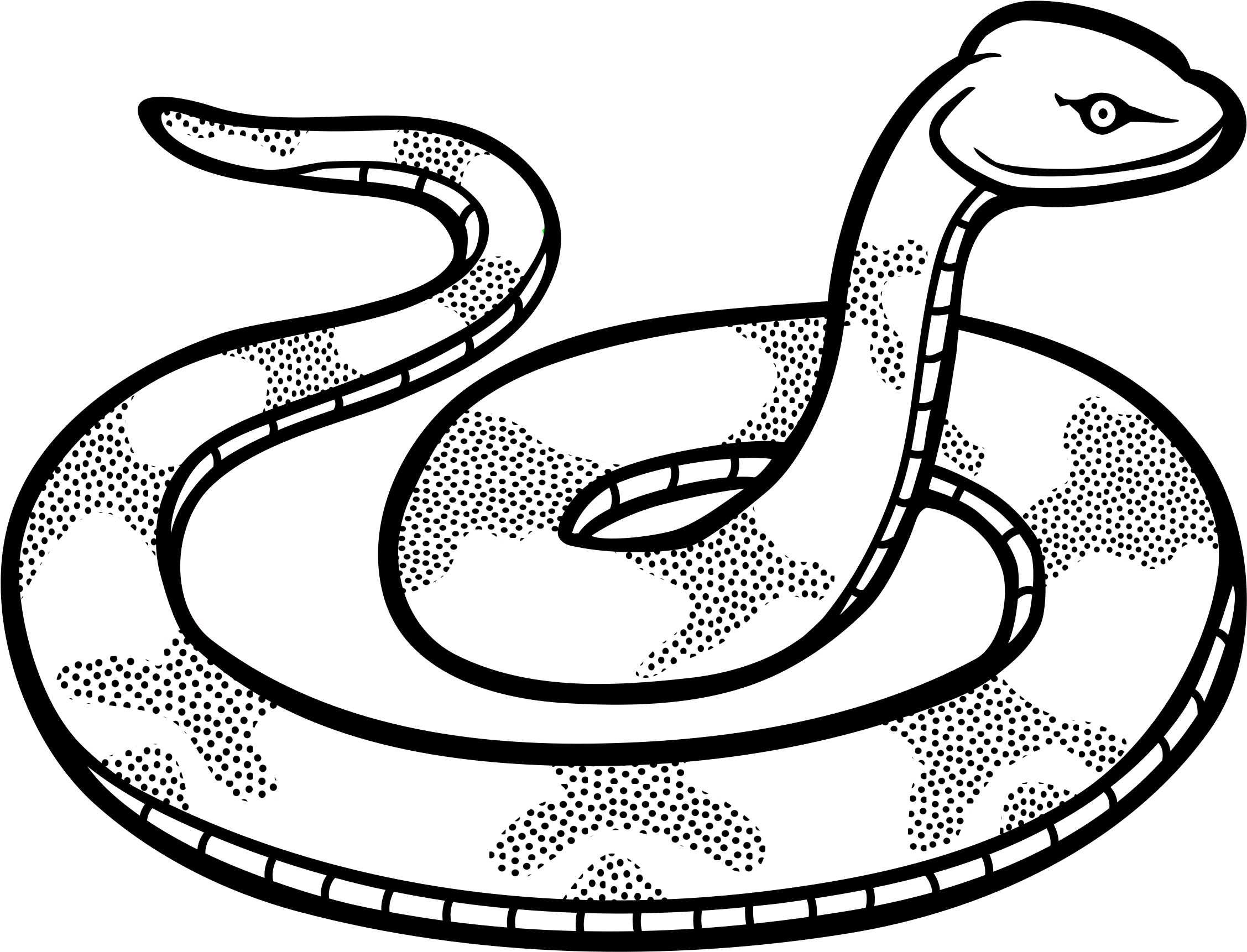 Black Snake Png