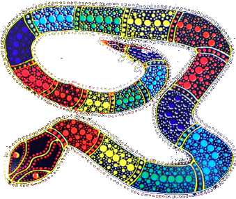 Download Rainbow Snake - Rainbow Serpent PNG Image with No Background ...