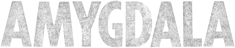 Download Amygdala Png PNG Image with No Background - PNGkey.com