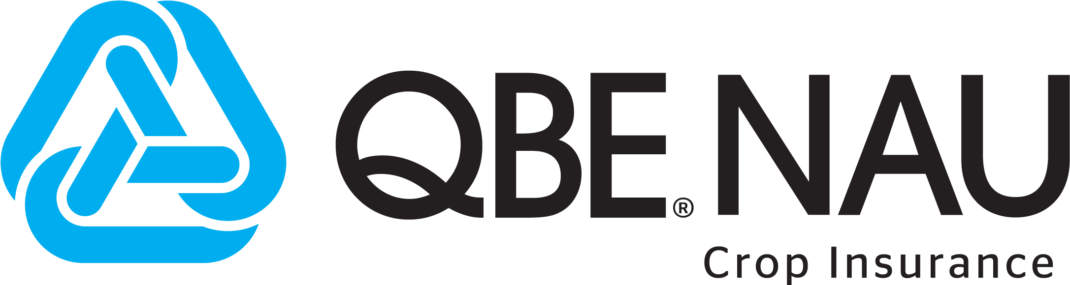 Download Qbe Insurance Png PNG Image with No Background - PNGkey.com