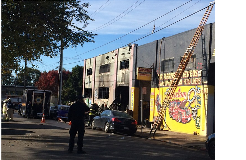 Download Street Tree Png PNG Image with No Background - PNGkey.com