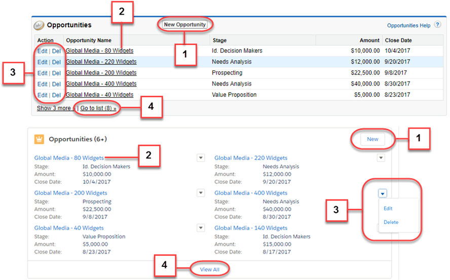 Download Related Lists In Salesforce Classic And Lightning Experience ...