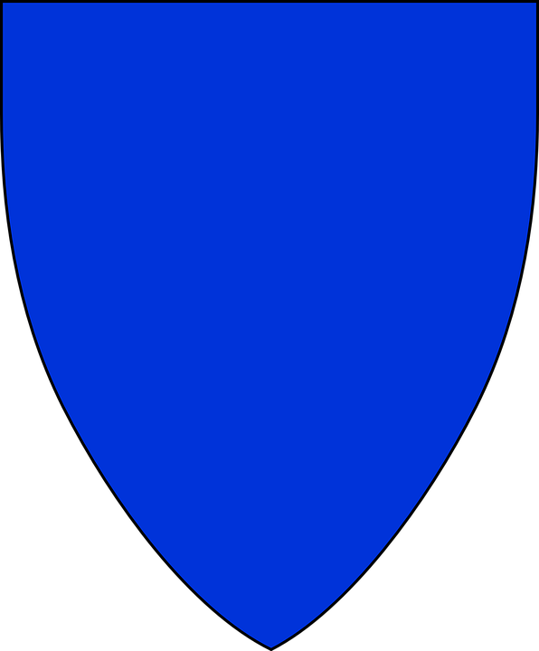 Download Blue Outline Shield Clipart - Shield Clip Art PNG Image with ...