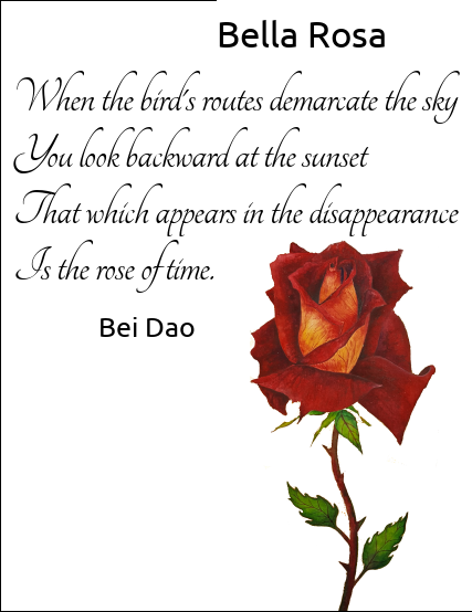 Download Bei Dao Poem - Poetry PNG Image with No Background - PNGkey.com